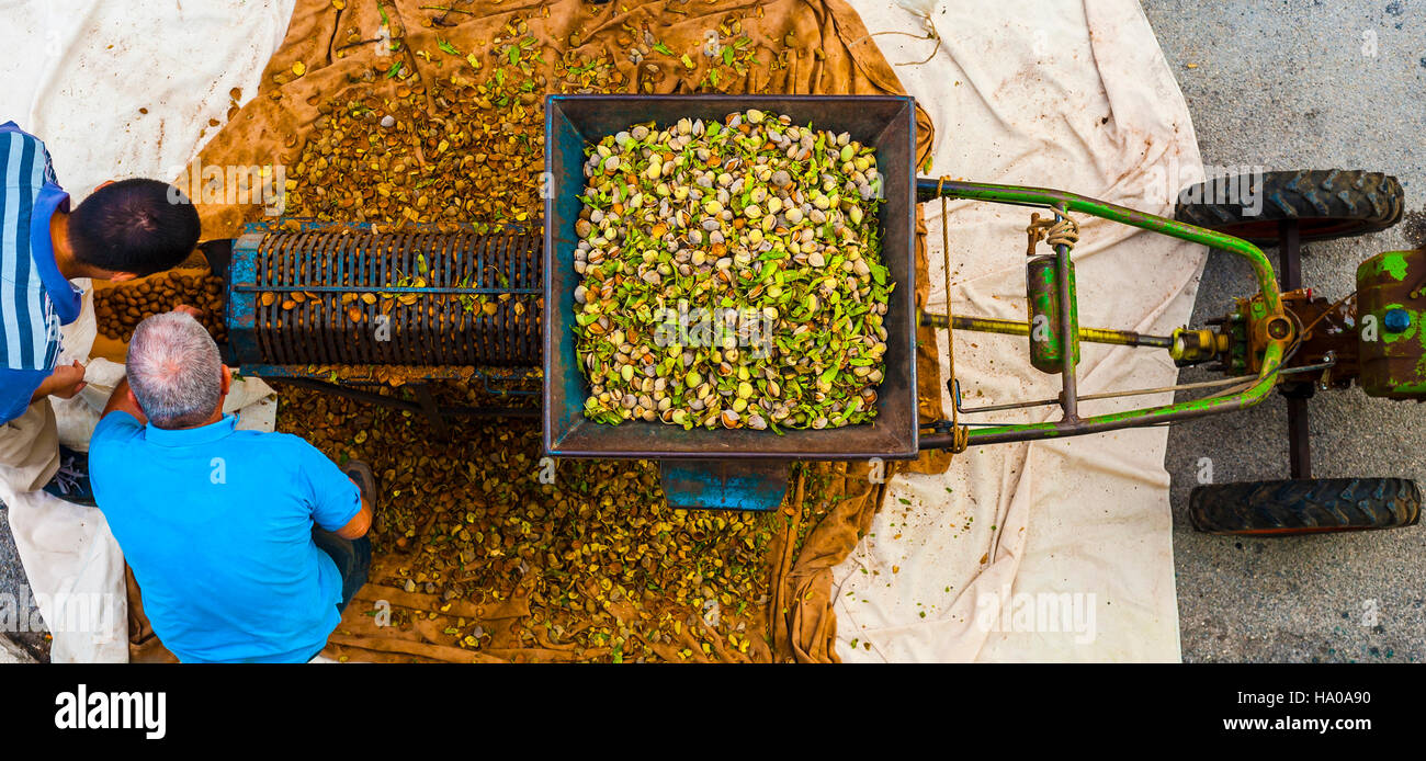 Almond harvest machine hi-res stock photography and images - Alamy