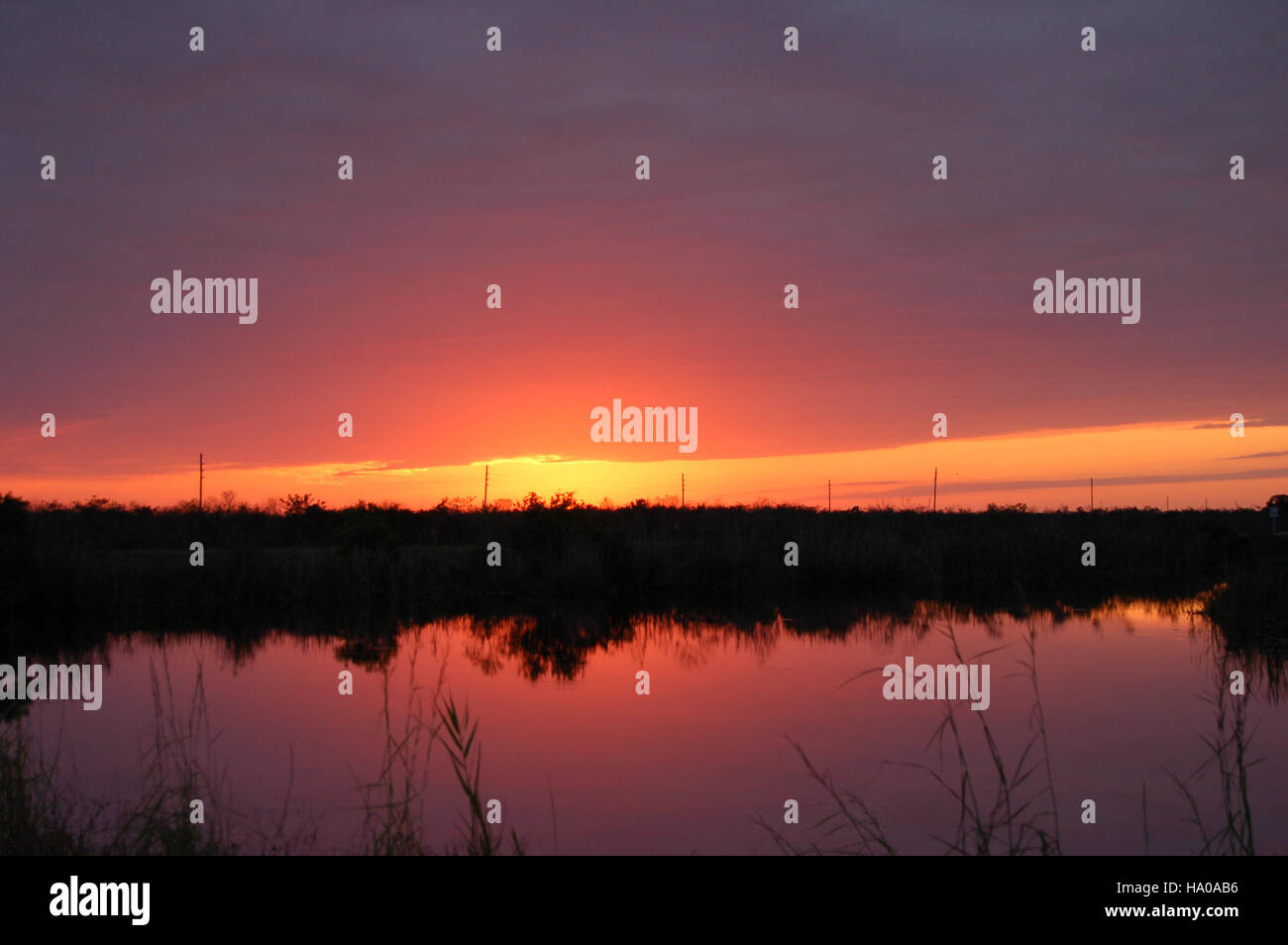 A beautiful sunset over the Everglades National Park, showcasing its ...