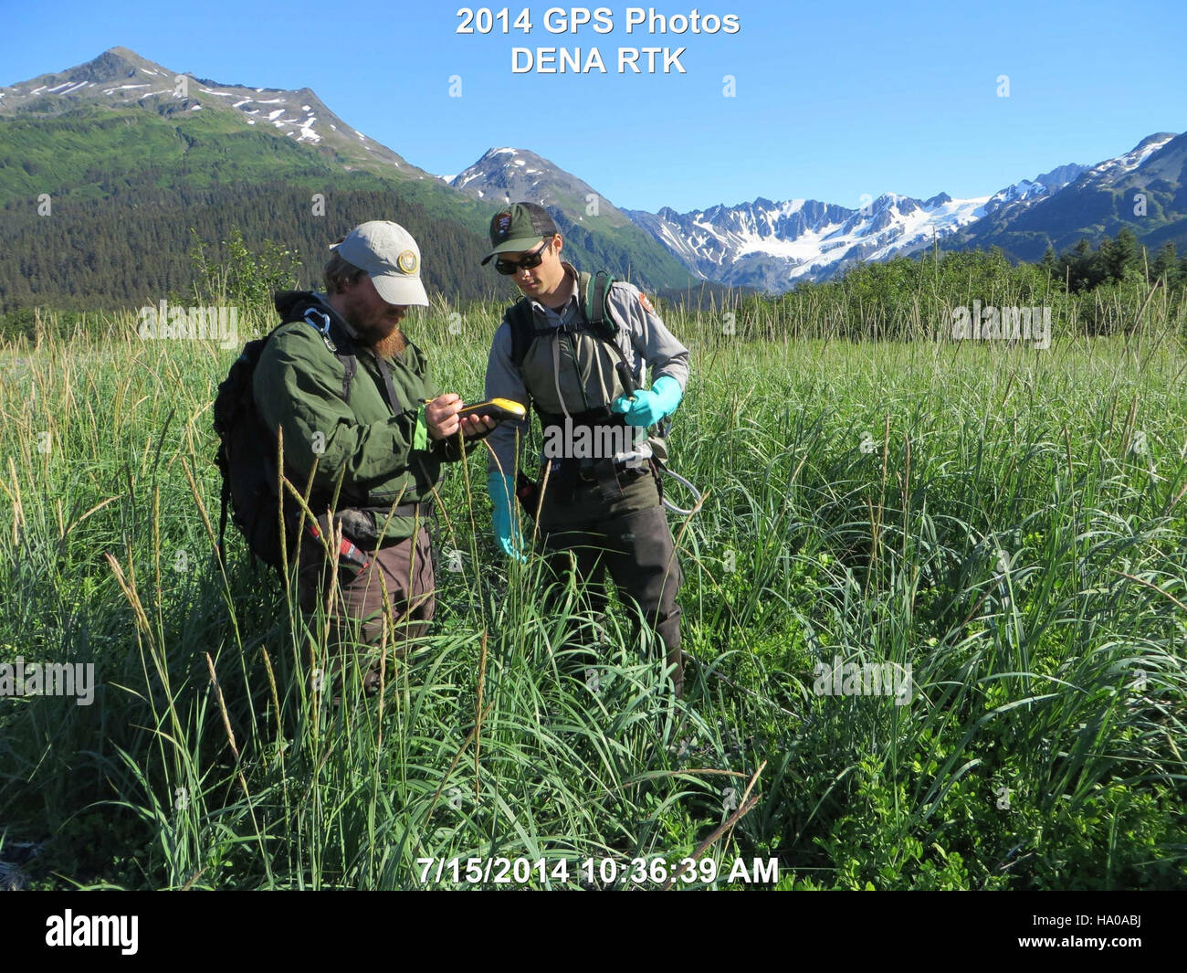 In 2014, GPS technology was used to document and map the Alaskan ...