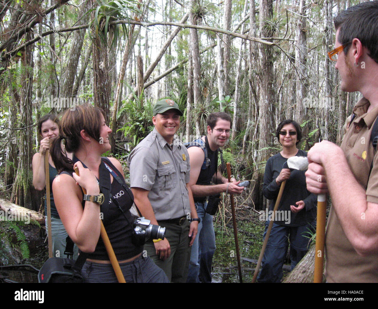 Ranger-guided walks in the Everglades National Park offer visitors a ...