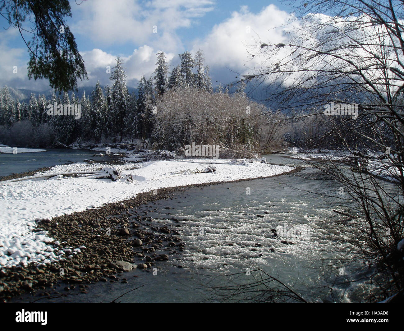 The Queets River in Olympic National Park presents a winter scenic view ...