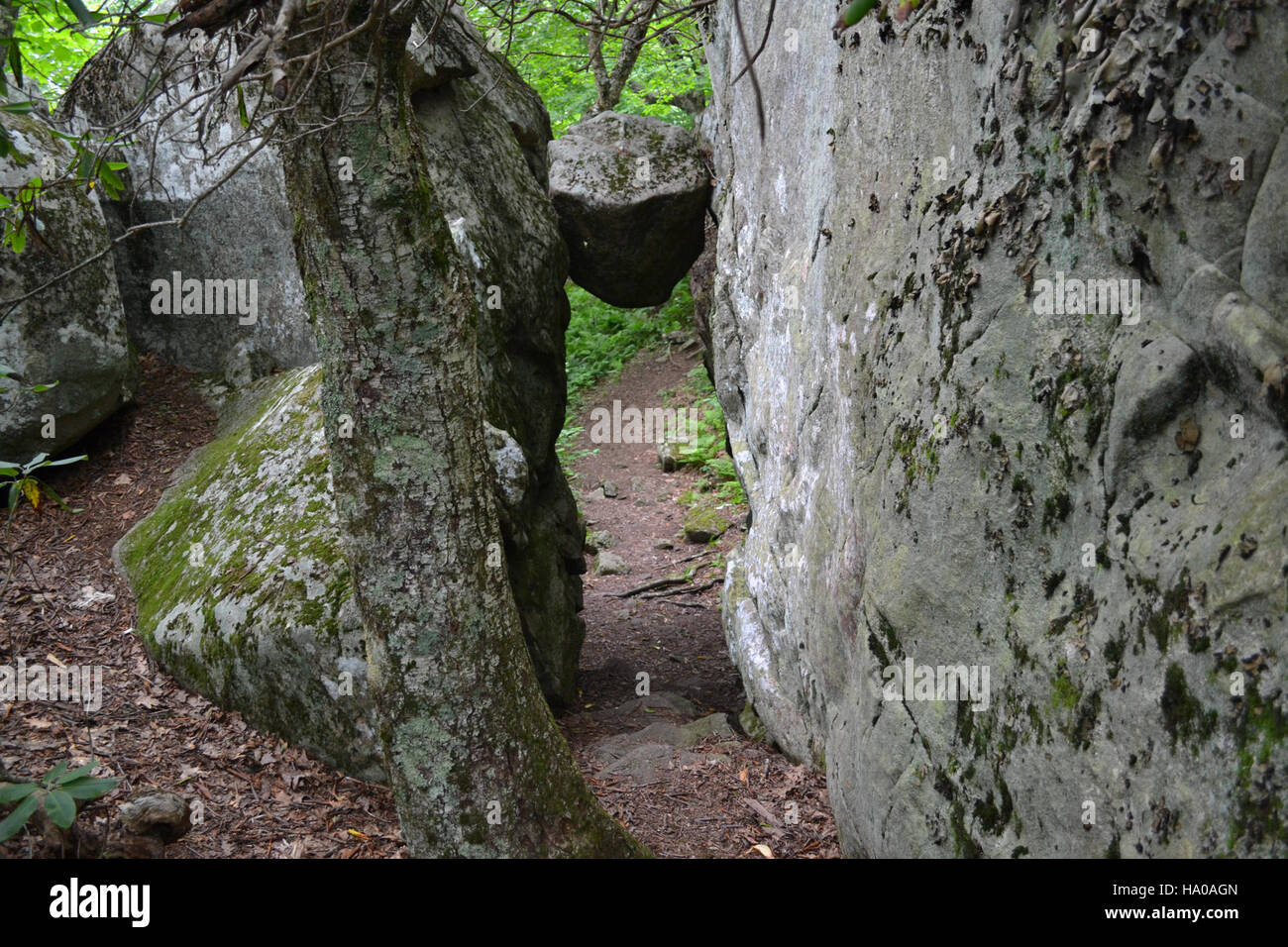 The Guillotine, a natural rock formation on the Appalachian Trail near ...