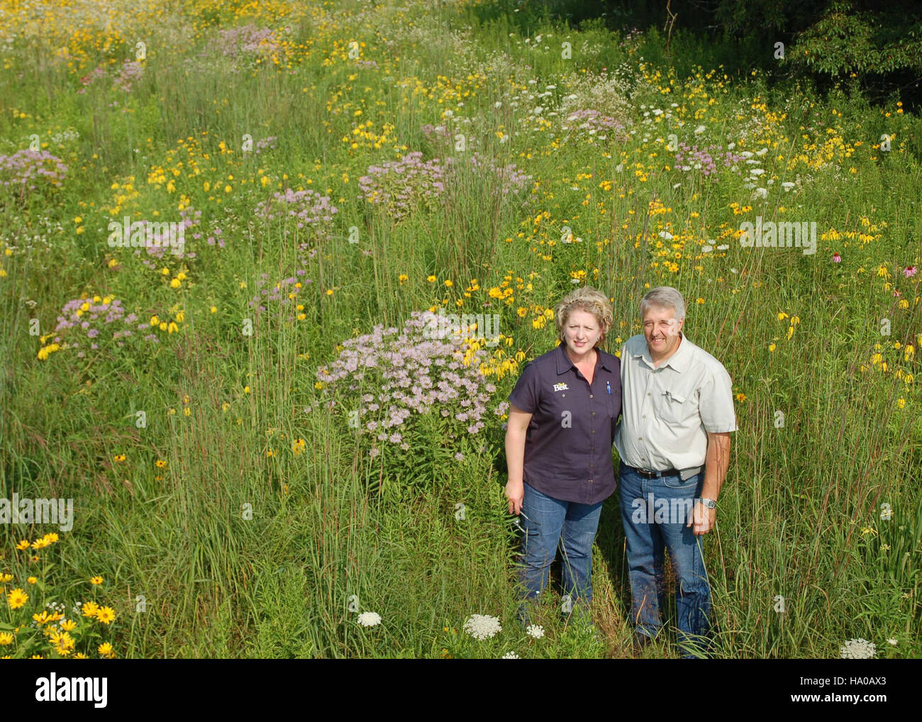 Conservation reserve enhancement program hi-res stock photography and ...