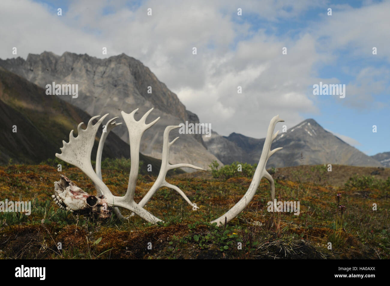 Oolah valley hi-res stock photography and images - Alamy