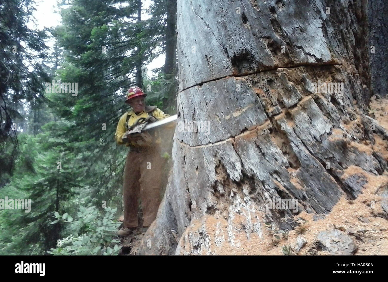 A firefighter works to control the aftermath of a wildfire in Klamath ...