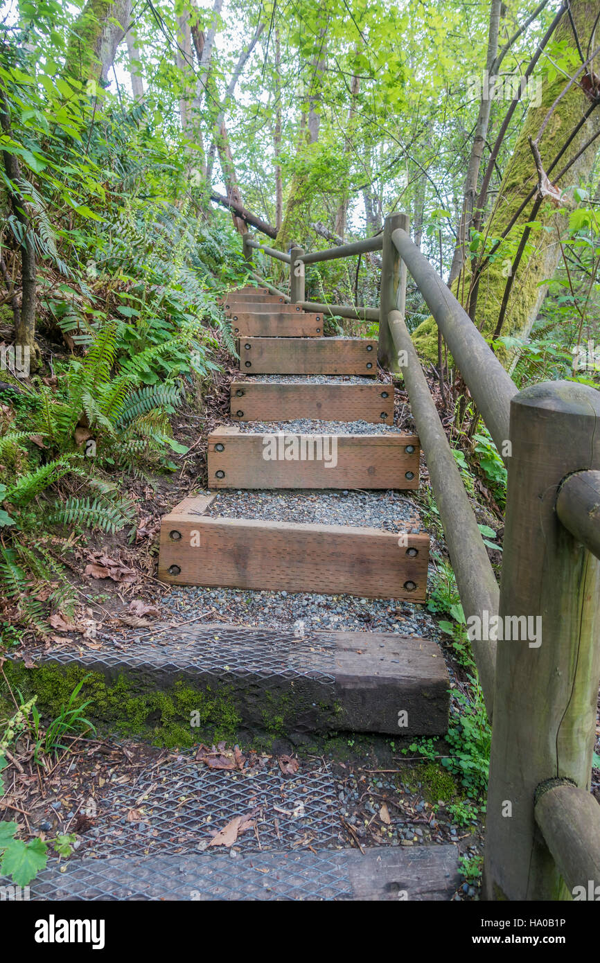 Wooden and gravel steps lead down from a hiking trail in Normandy Park ...