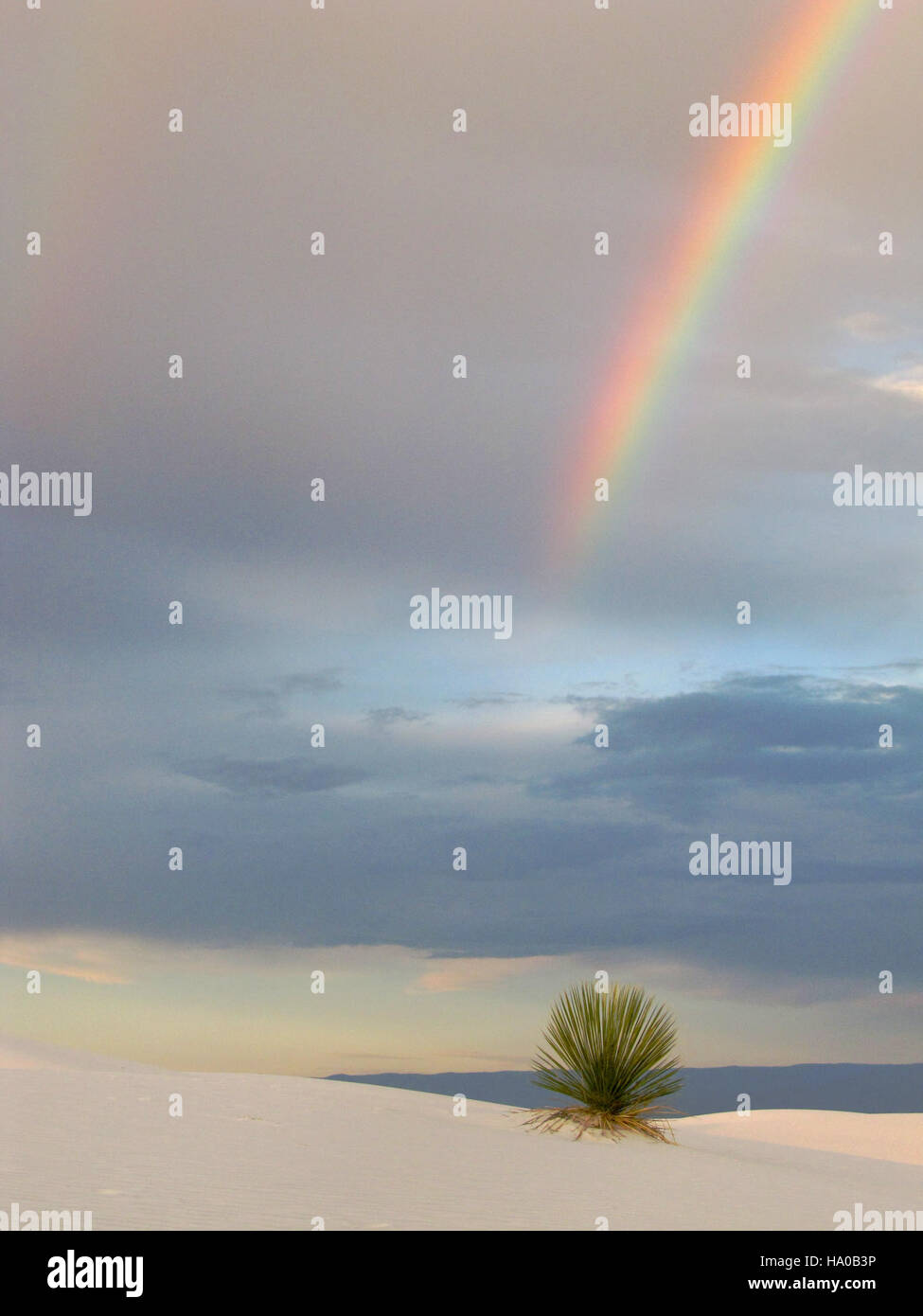 A vibrant rainbow captured in nature, showcasing the spectrum of colors ...