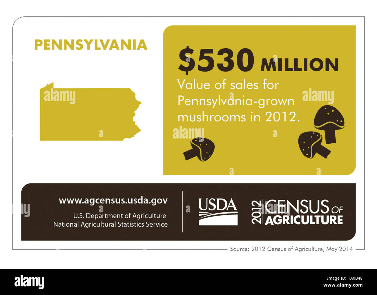 Ecology focused Cut Out Stock Images & Pictures - Alamy