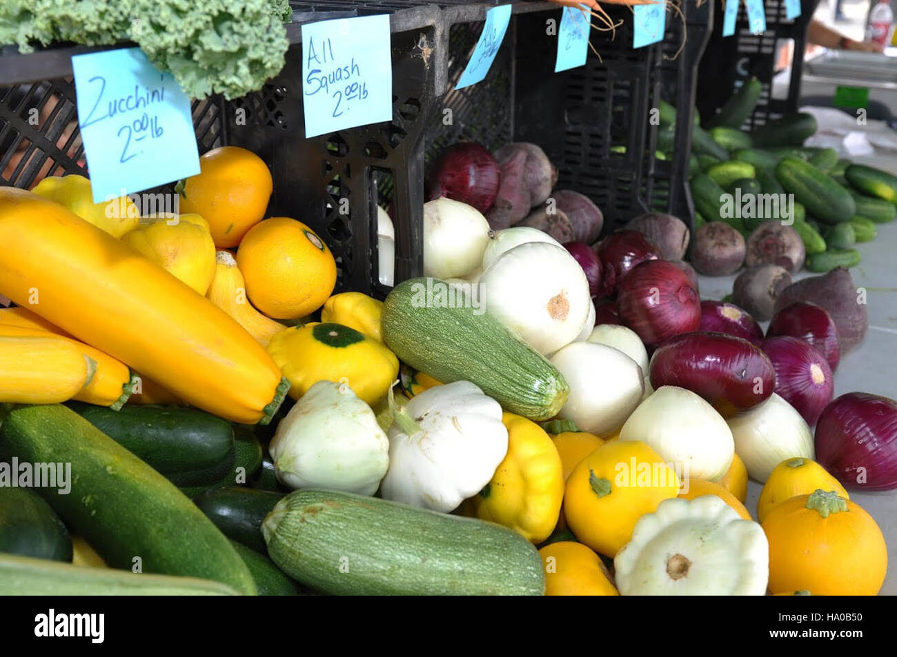The 2014 Farmers Market celebration, organized by the USDA, highlighted ...