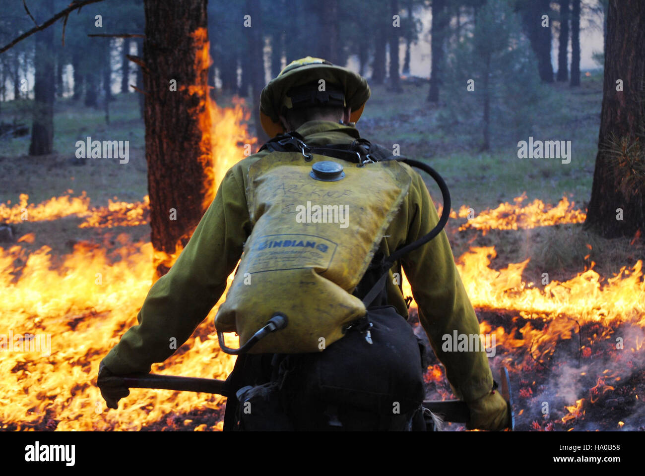 Firefighters work at the Sitgreaves Complex to manage wildfire ...