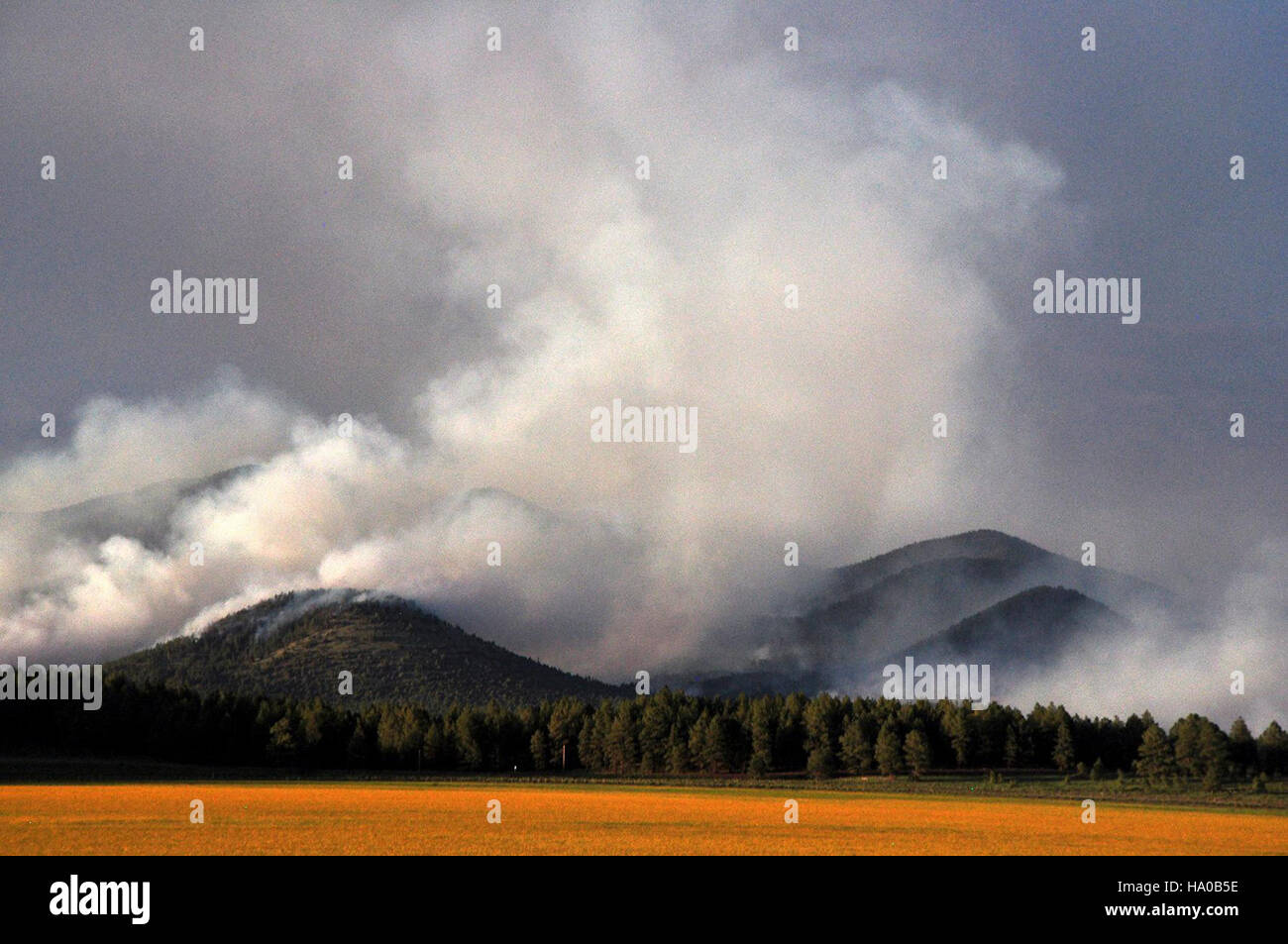 Firefighters work to control a wildfire at the Sitgreaves Complex in ...
