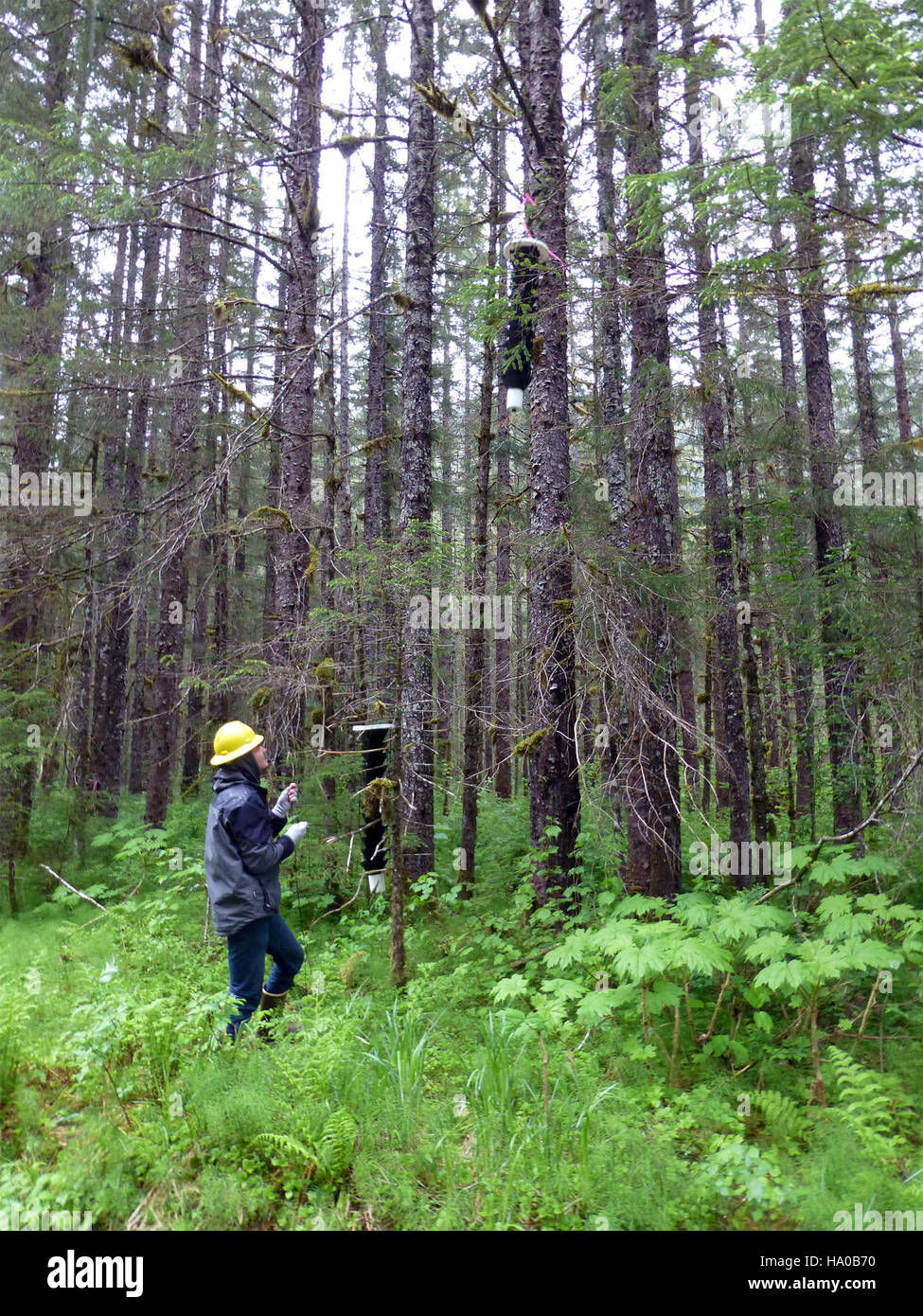 Alex Vaisvil, an intern from Xavier University, participates in ...