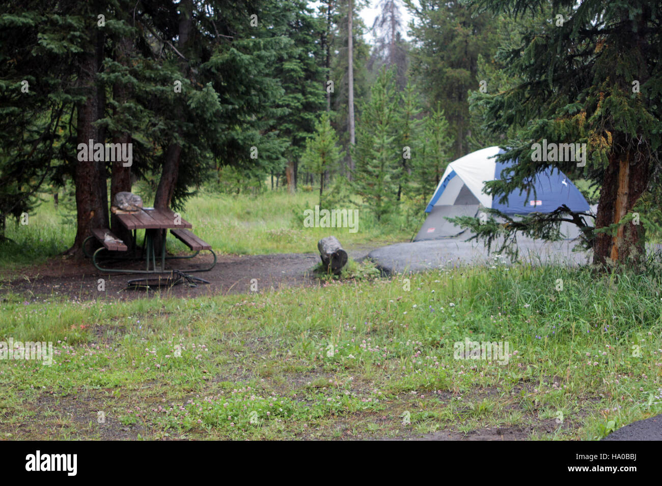 Bridge Bay Campground in Yellowstone National Park offers a scenic and ...
