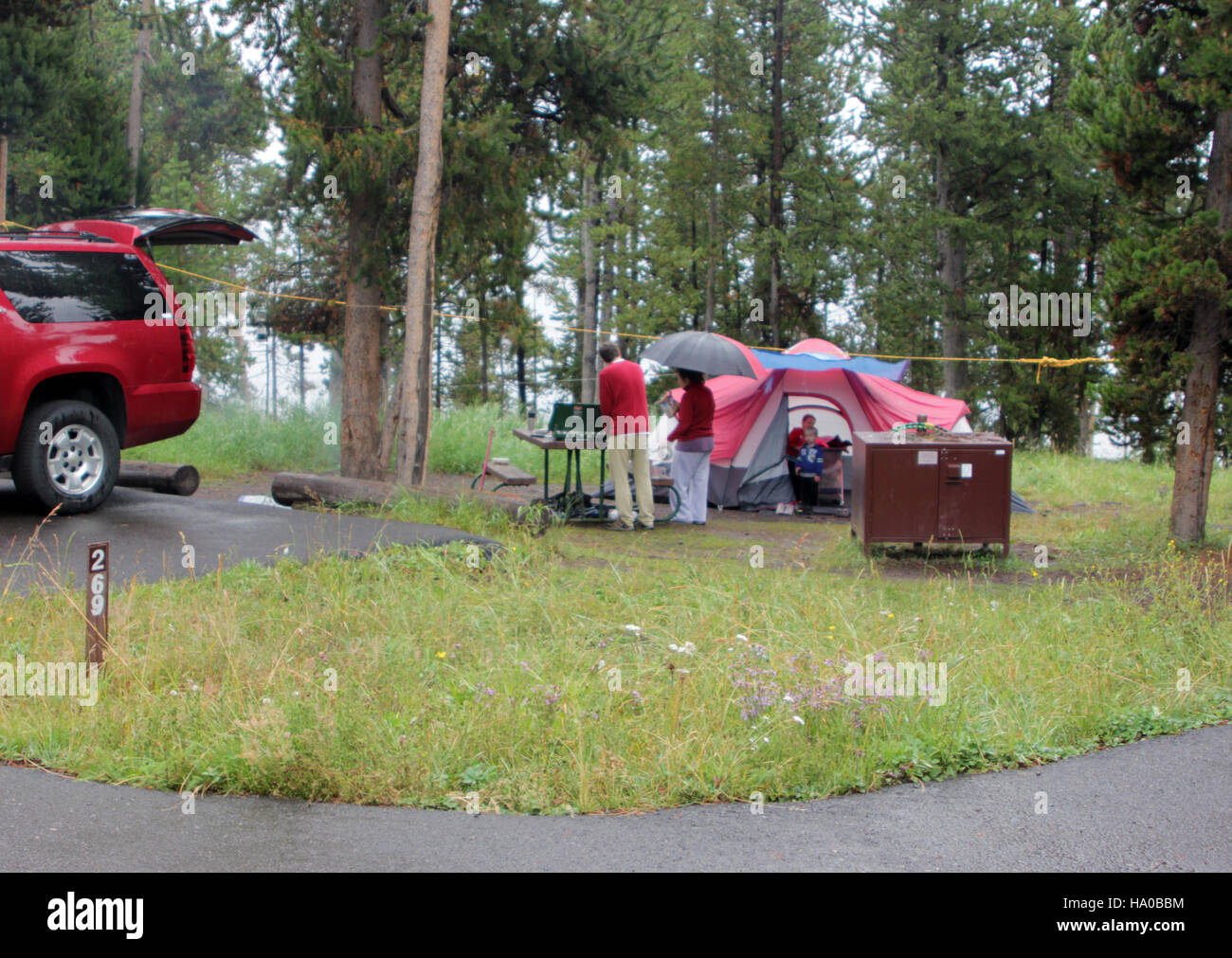 The Bridge Bay Campground at Yellowstone National Park offers visitors ...