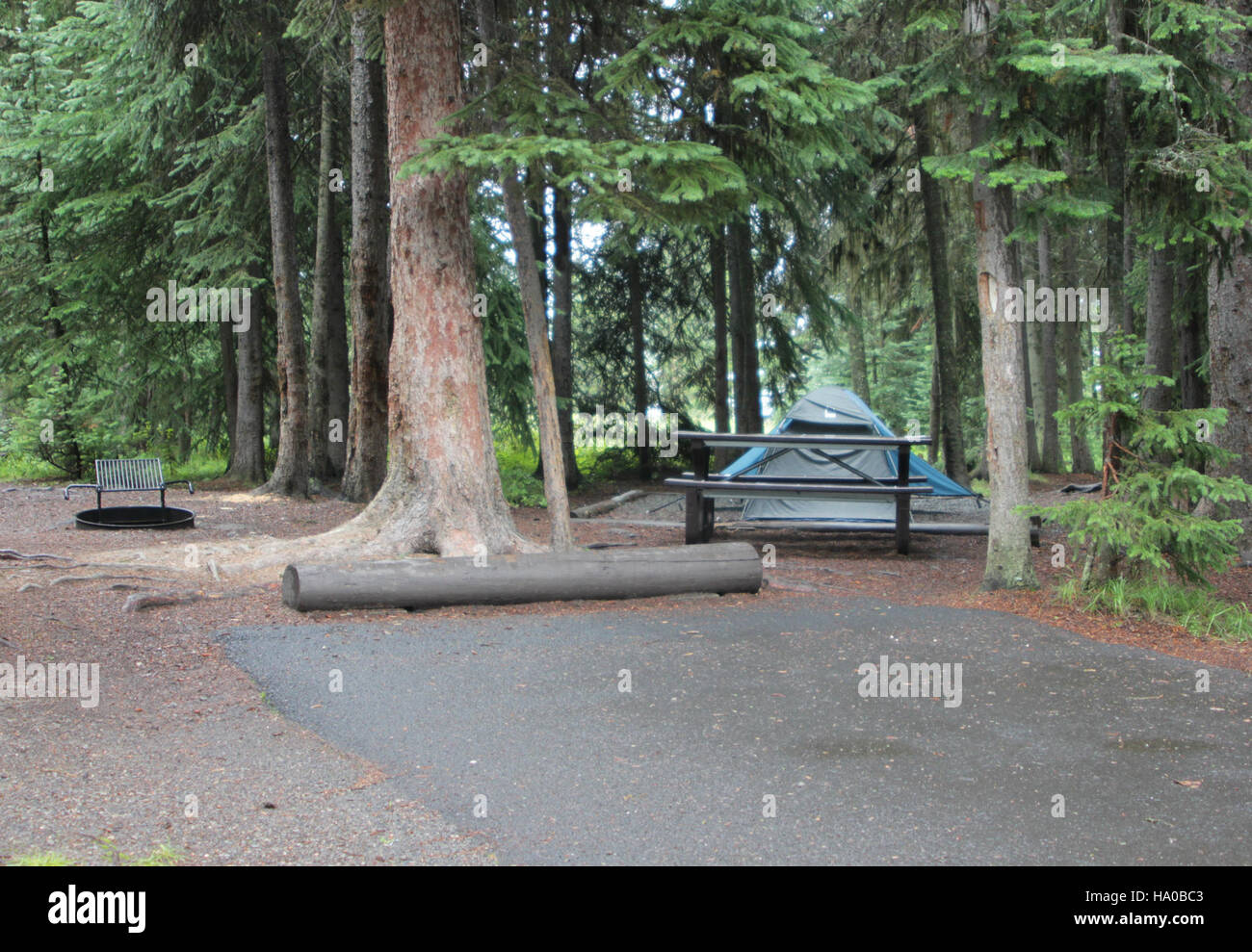 Bridge bay campground hi-res stock photography and images - Alamy