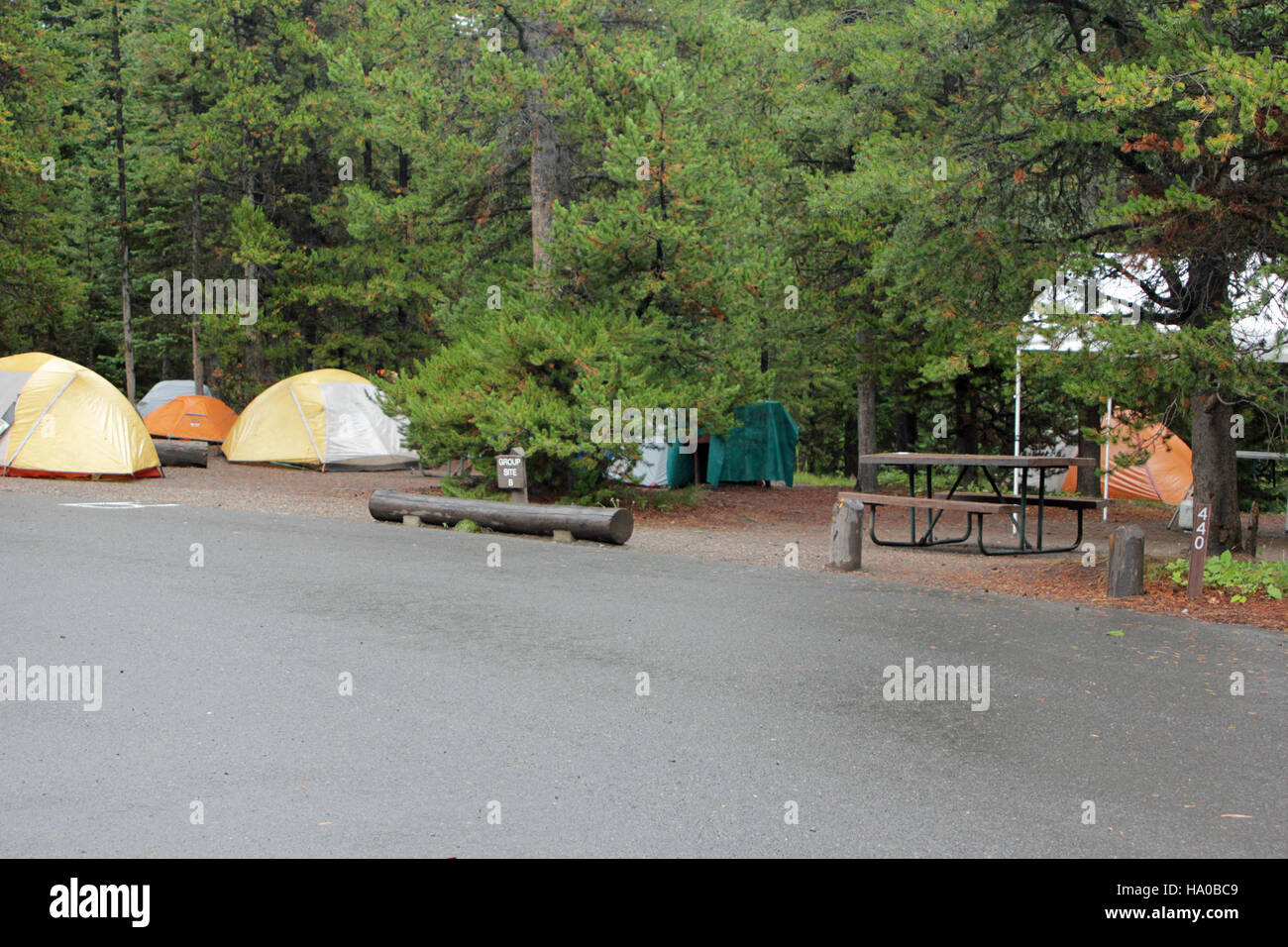 Bridge bay campground hi-res stock photography and images - Alamy