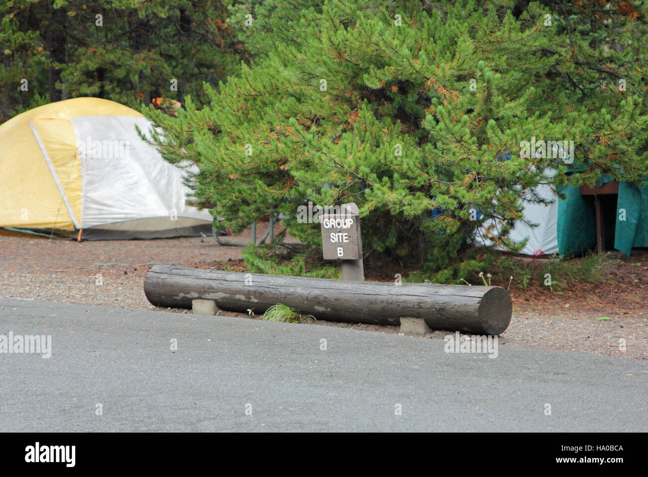 Bridge Bay Campground, located in Yellowstone National Park, offers ...
