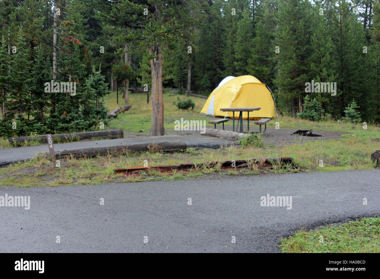 Bridge bay campground hi-res stock photography and images - Alamy