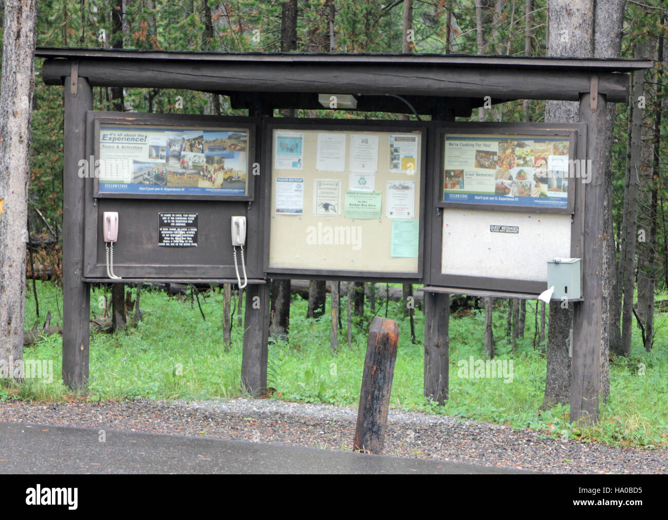 A bulletin board at Bridge Bay Campground in Yellowstone National Park ...