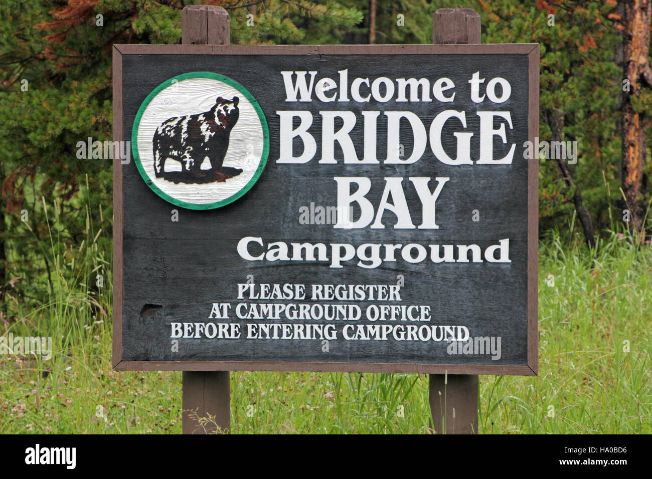Bridge Bay Campground in Yellowstone National Park offers a welcoming ...