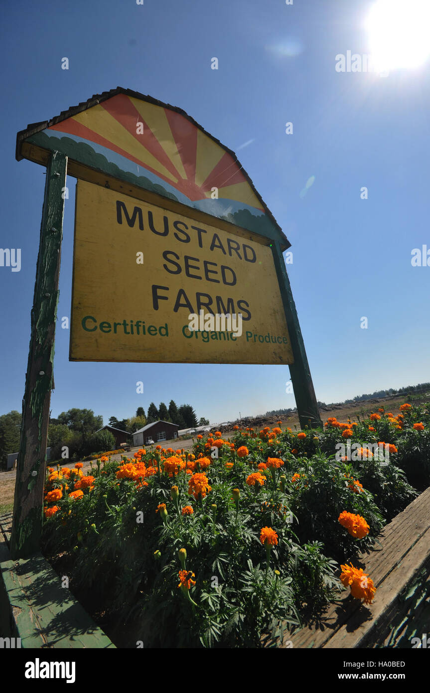 Mustard Seed Farms is an agricultural initiative focused on sustainable ...