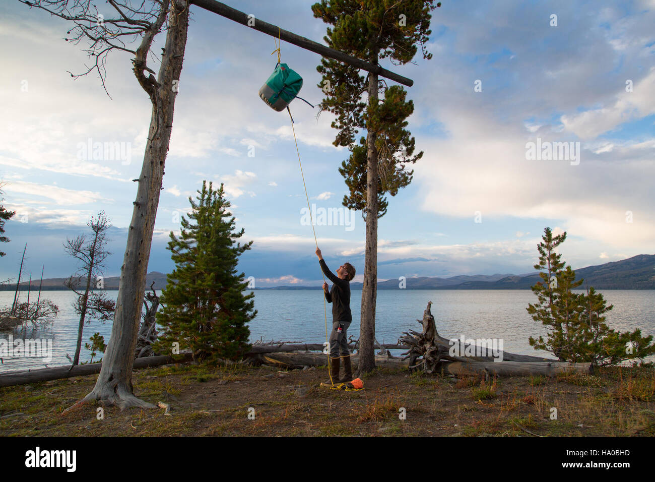 Hanging food is a common method used in Yellowstone National Park to ...
