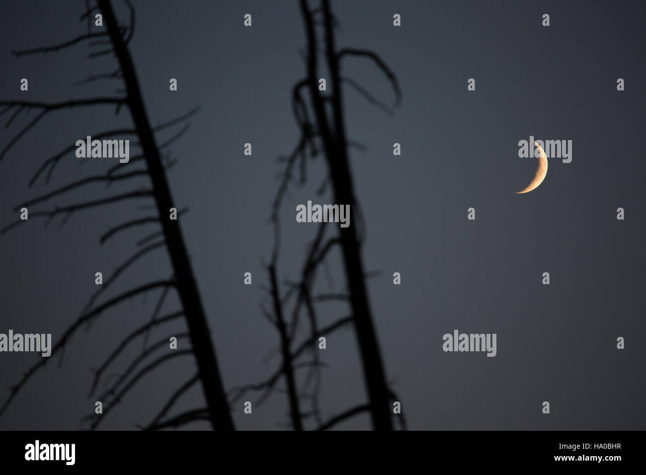 1st Quarter Moon High Resolution Stock Photography and Images - Alamy