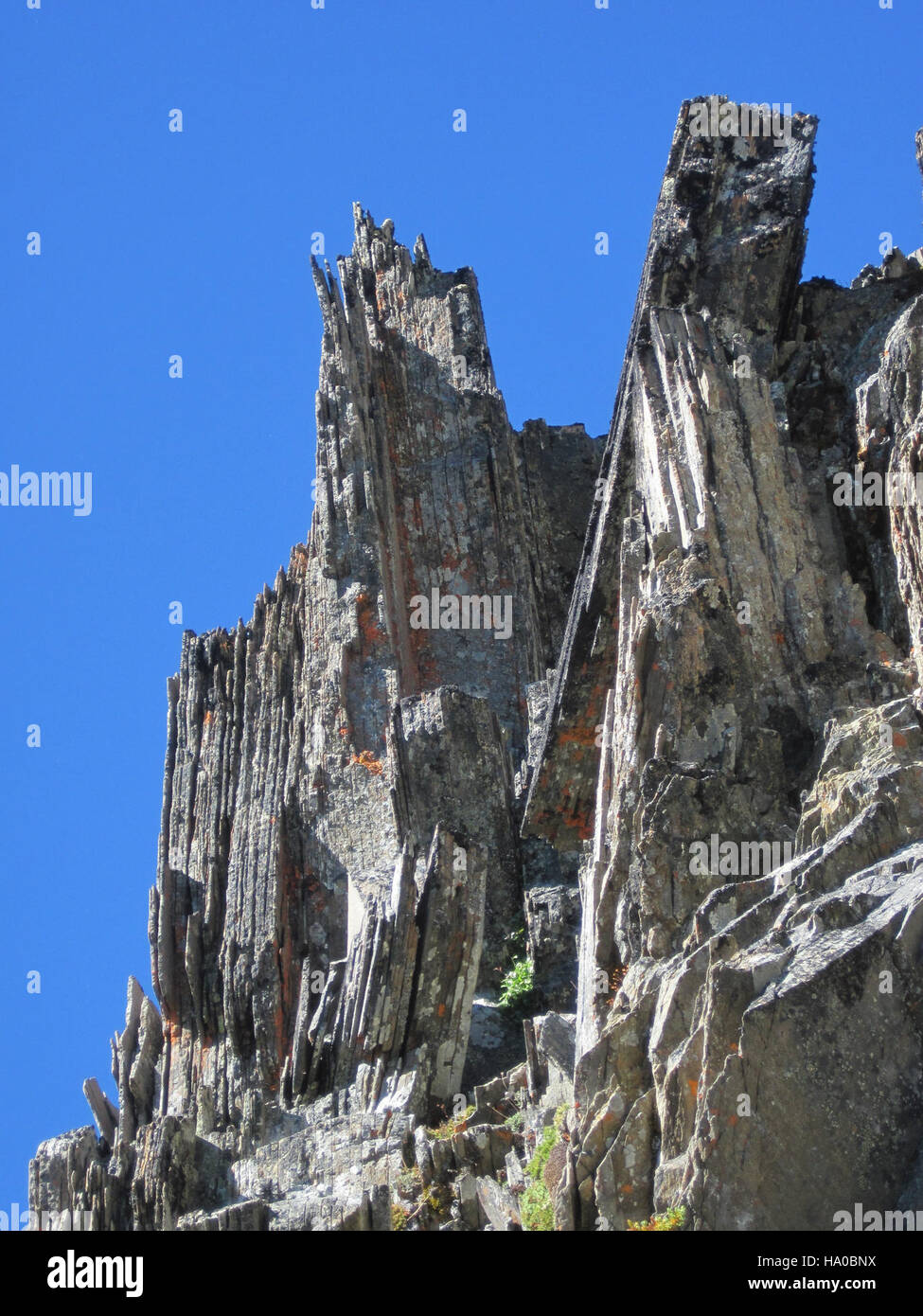 Olympic National Park in Washington State offers a diverse range of ...