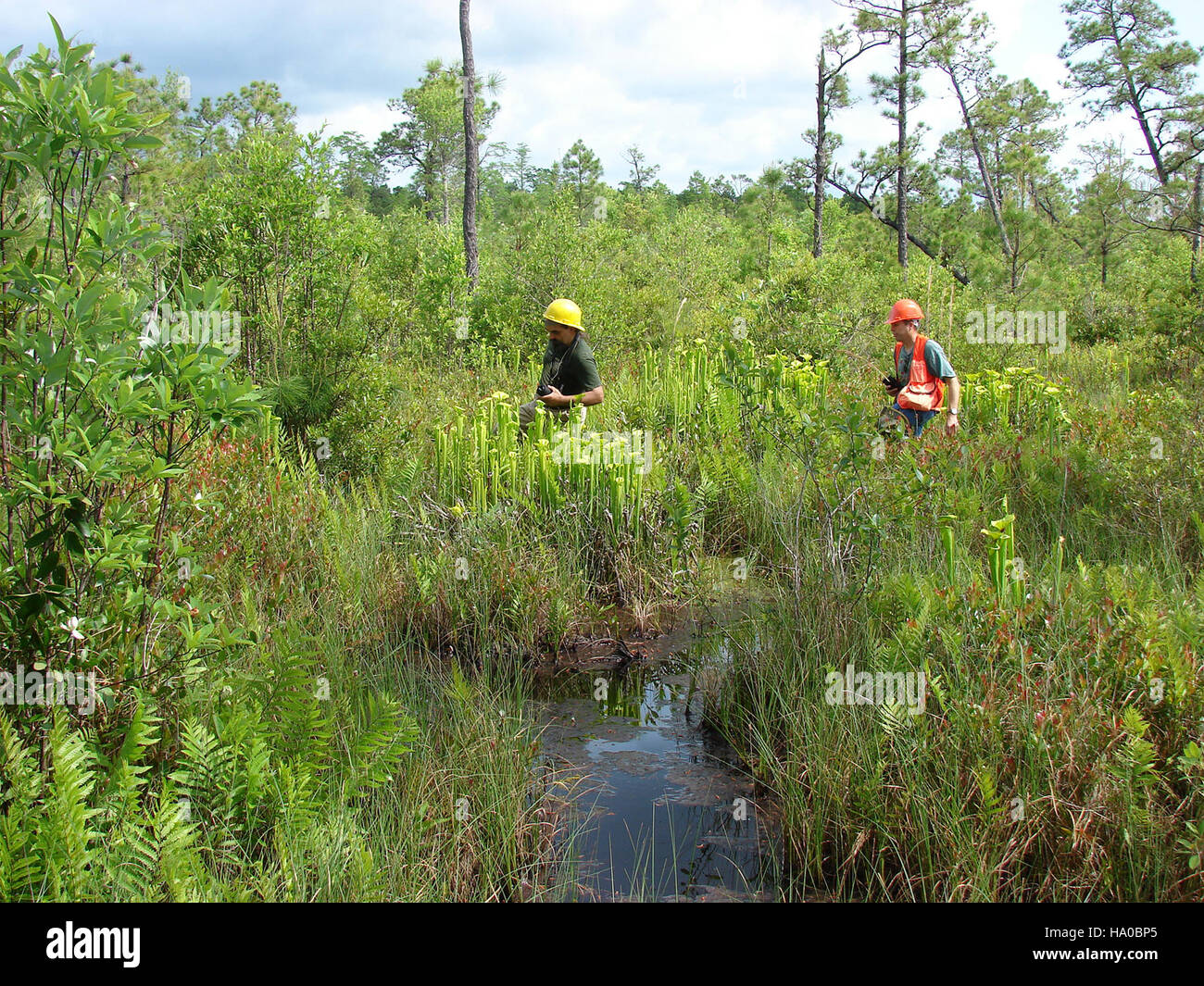 This image highlights the critical role of groundwater in sustaining ...