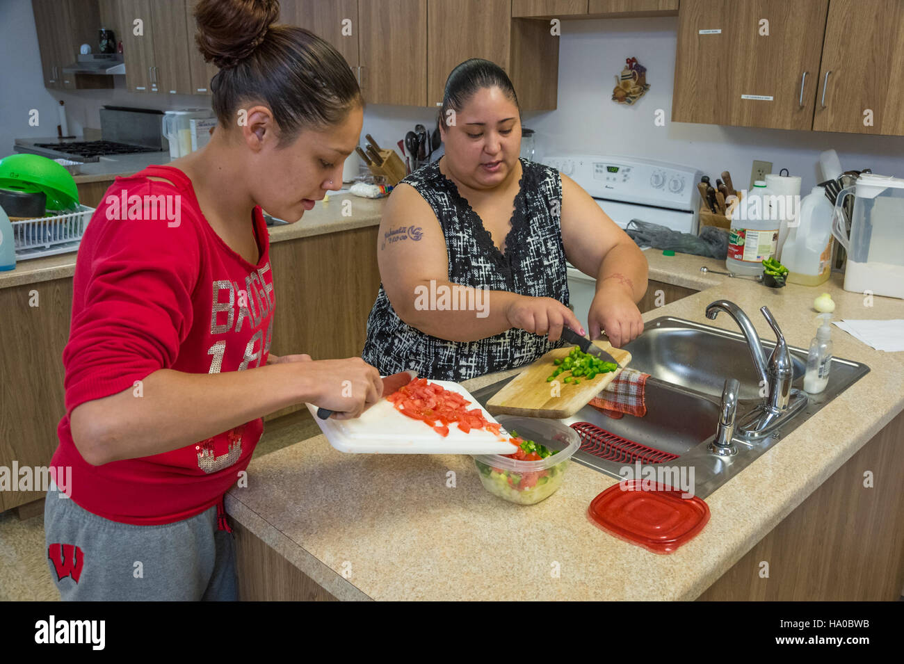 The Food Distribution on Indian Reservation Program (FDPIR) assists ...