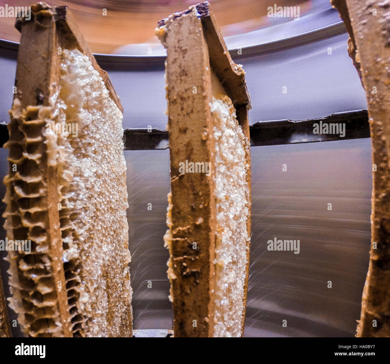 At the U.S. Department of Agriculture's Agricultural Research Service ...