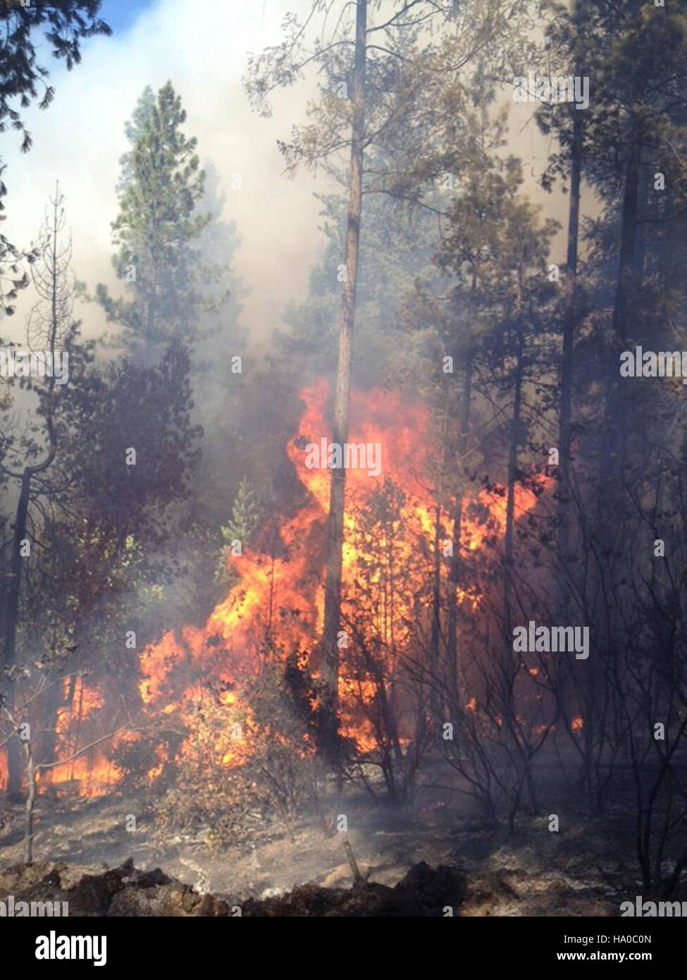 The USDA Forest Service conducts wildfire management and prevention ...