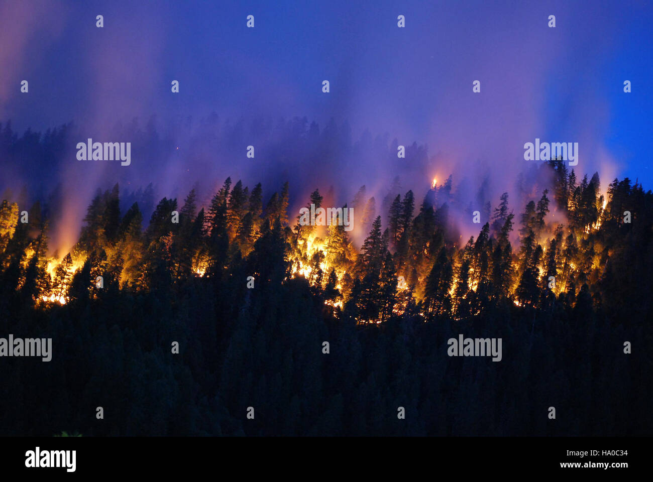 The Happy Camp Complex Fire, managed by the USDA and firefighting ...