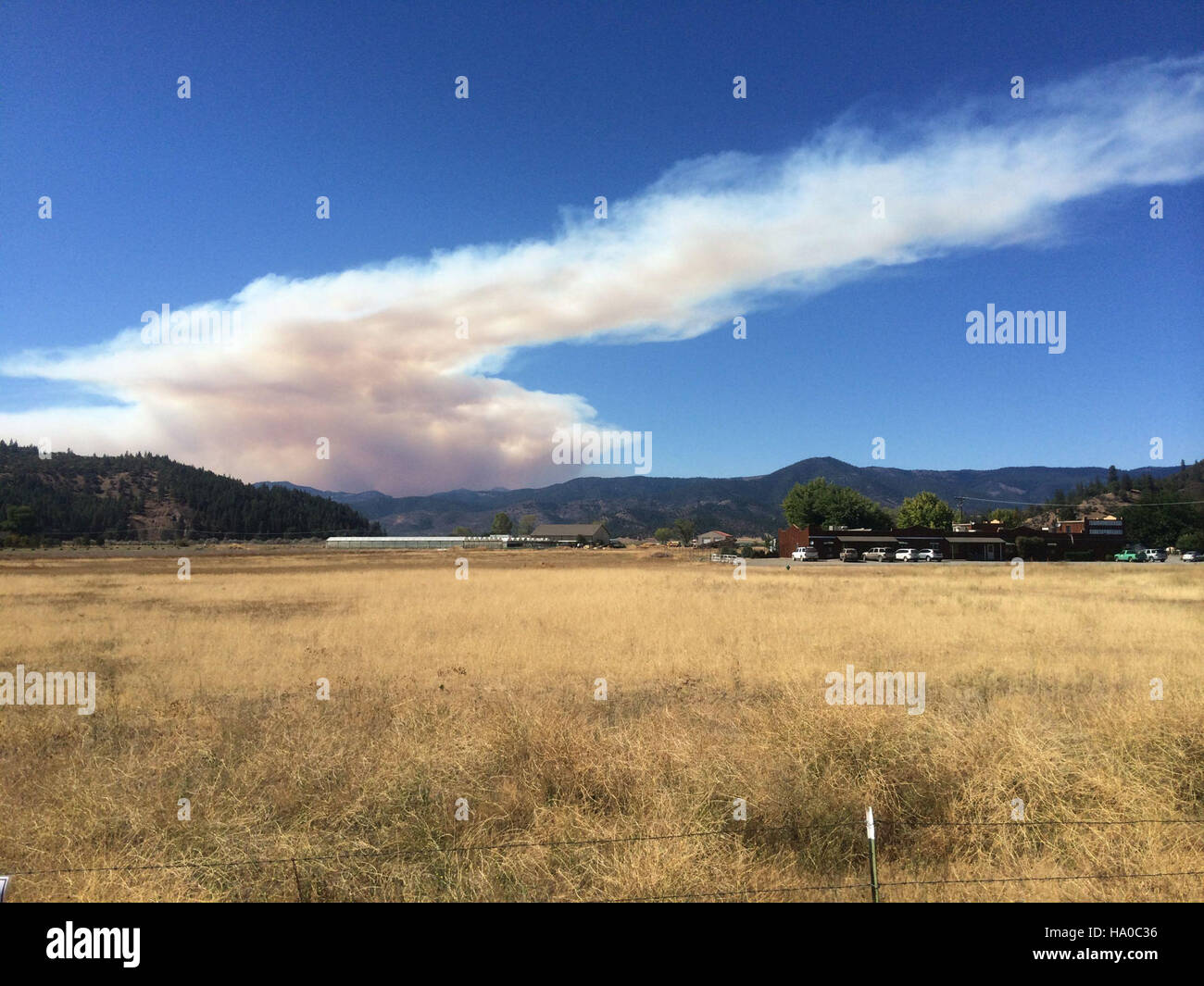 Firefighters at the Happy Camp Complex work to control a wildfire in a ...