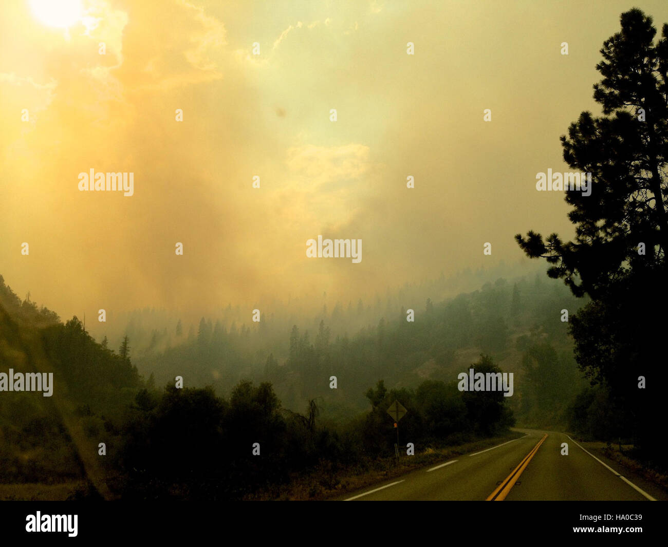 This image shows the Happy Camp Complex fire in 2014, illustrating the ...