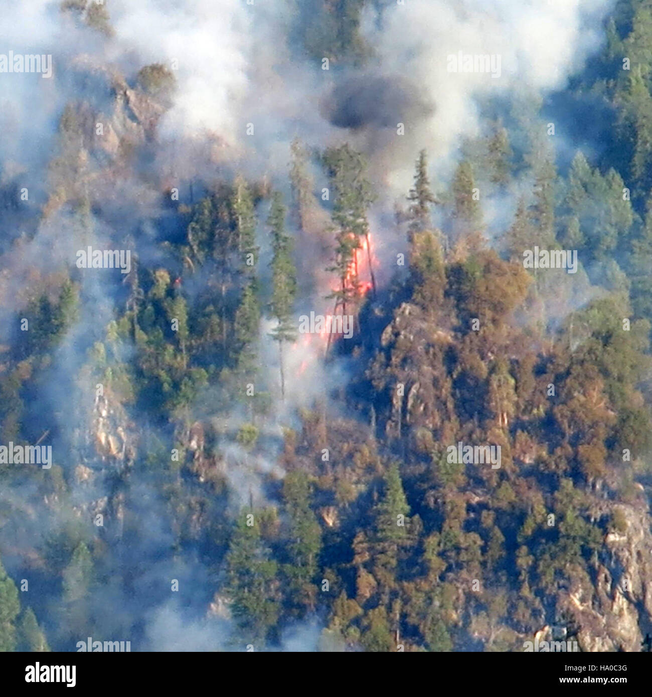 The USDA manages the Happy Camp Complex, where firefighters work to ...