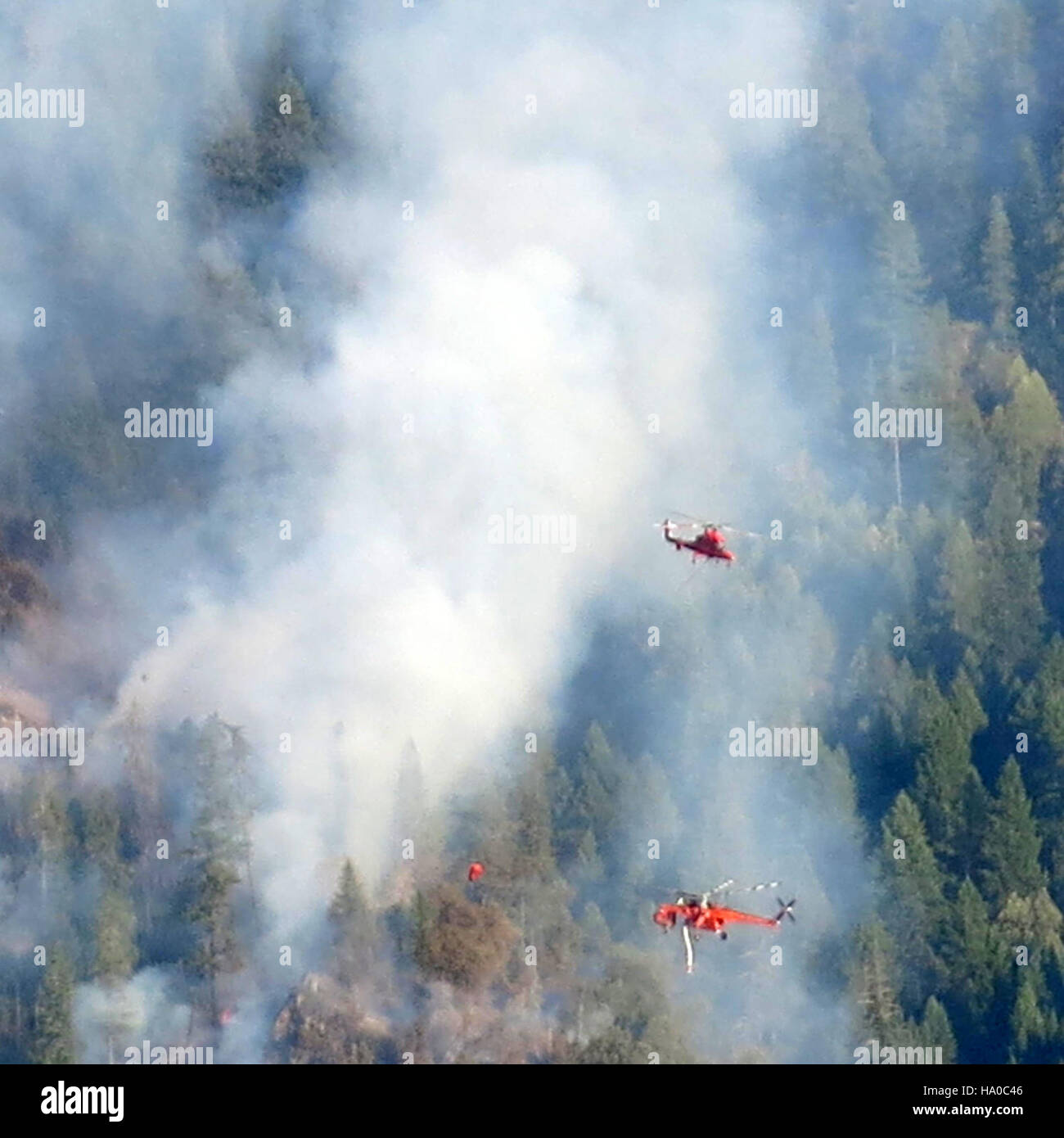 The U.S. Department of Agriculture, through its firefighting efforts ...