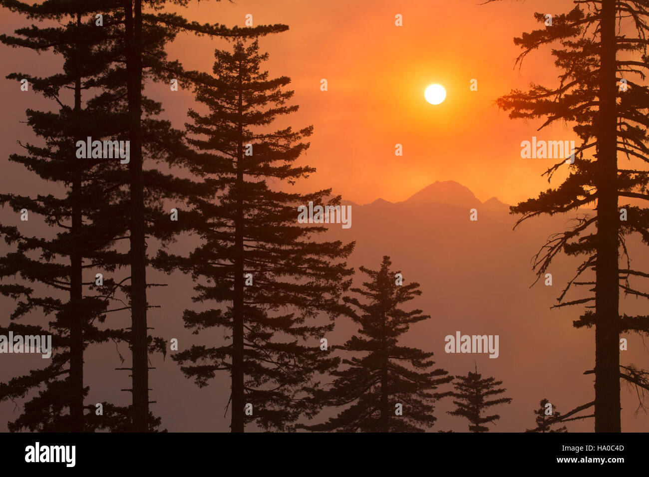 The Happy Camp Complex fire, part of a larger wildfire effort ...