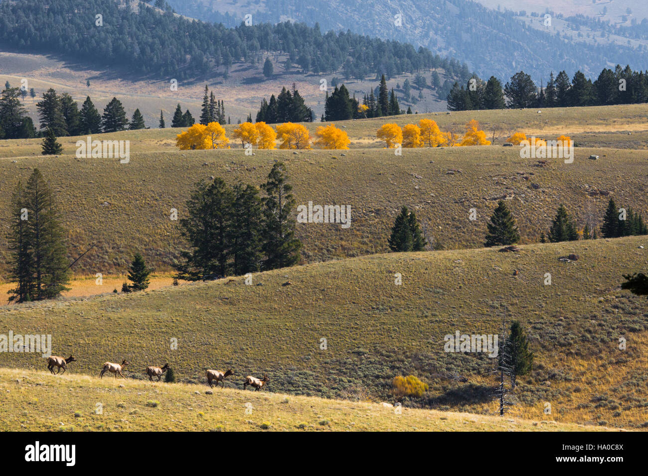 Mt everts hi-res stock photography and images - Alamy