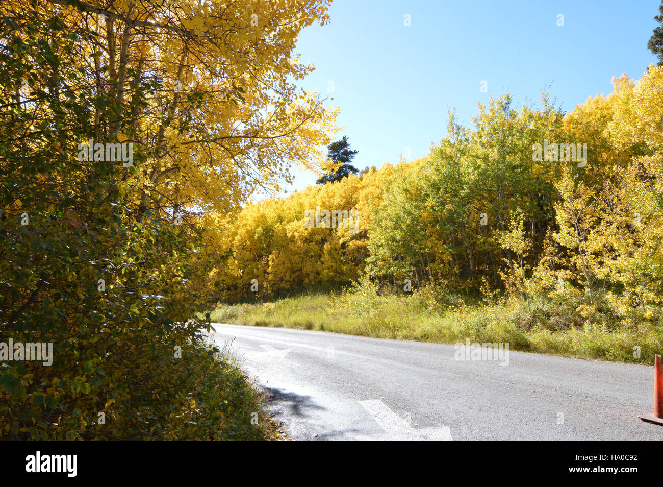 The vibrant fall colors in Glacier National Park highlight the region's ...