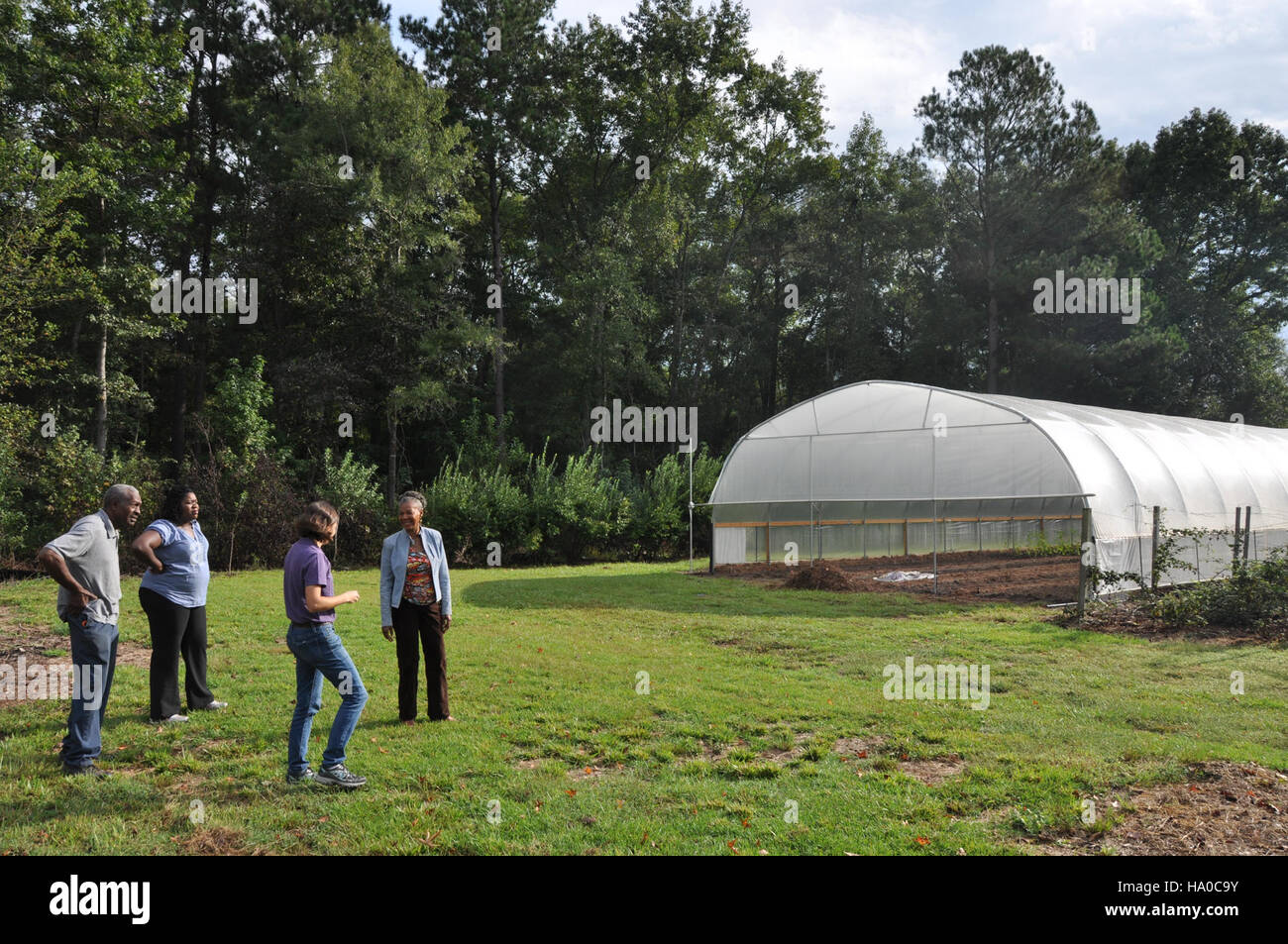 usdagov 16043878880 Ann Washington high tunnel Stock Photo - Alamy