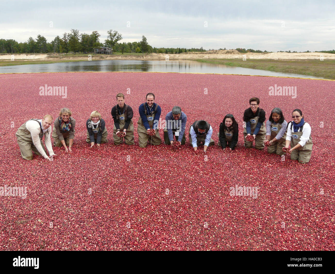 A cranberry marsh in Warrens, Wisconsin, illustrates the region's ...