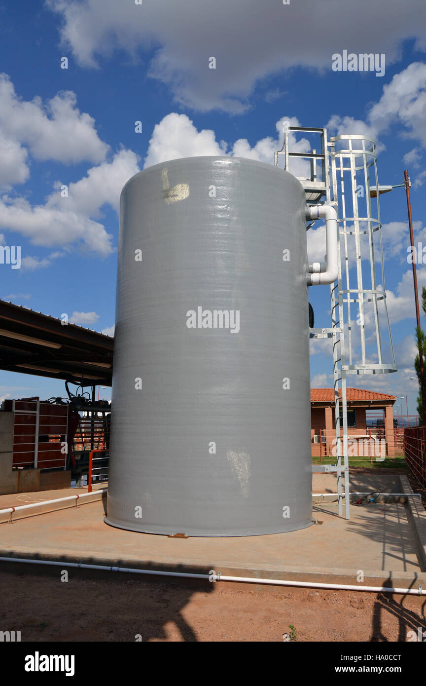 The U.S. Department of Agriculture's inspection of cattle safety and ...