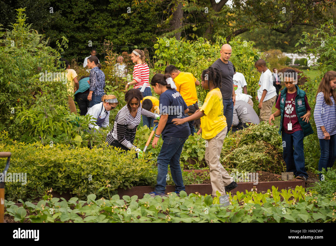The USDA's Food and Nutrition Service (FNS) administers programs aimed ...