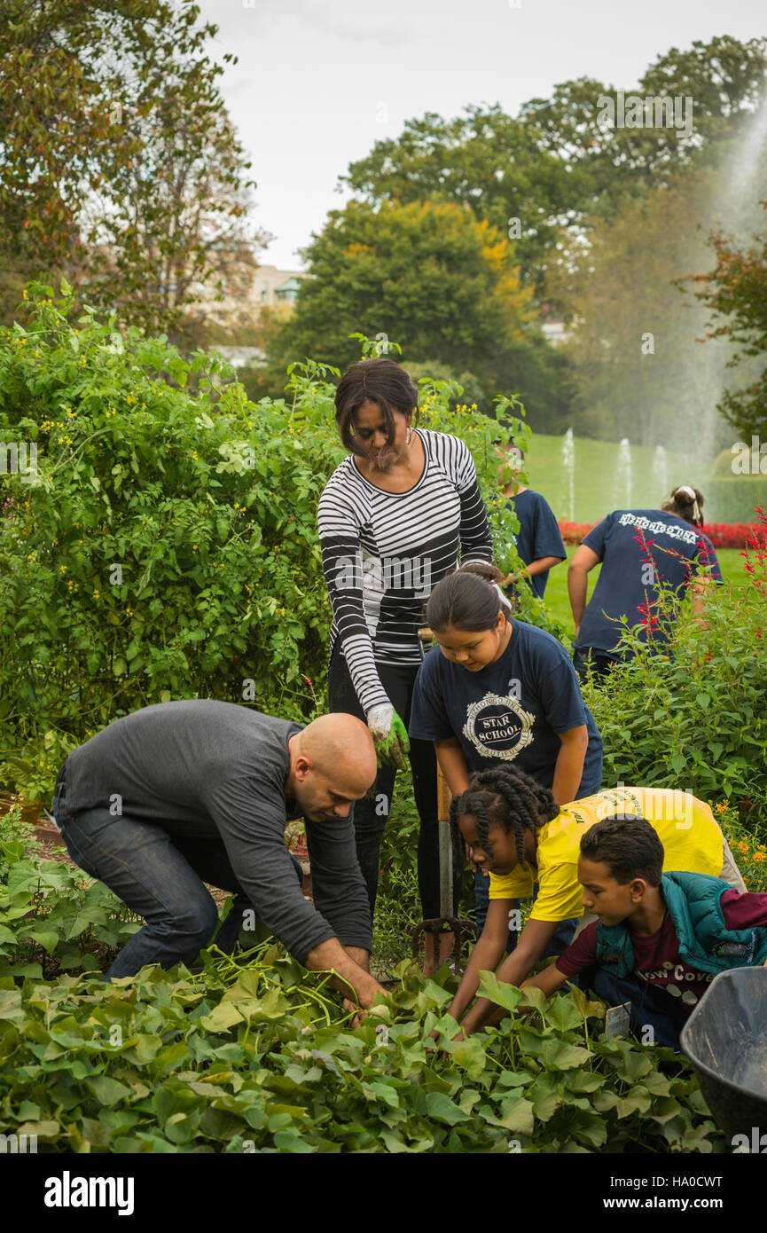 Initiatives for improving public service and community programs hi-res ...