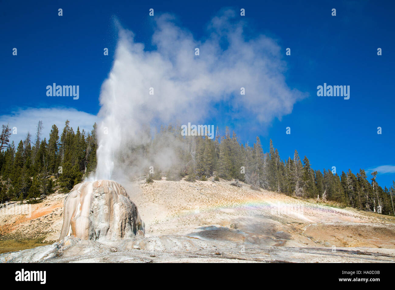 The Lone Star Geyser in Yellowstone National Park is known for its ...