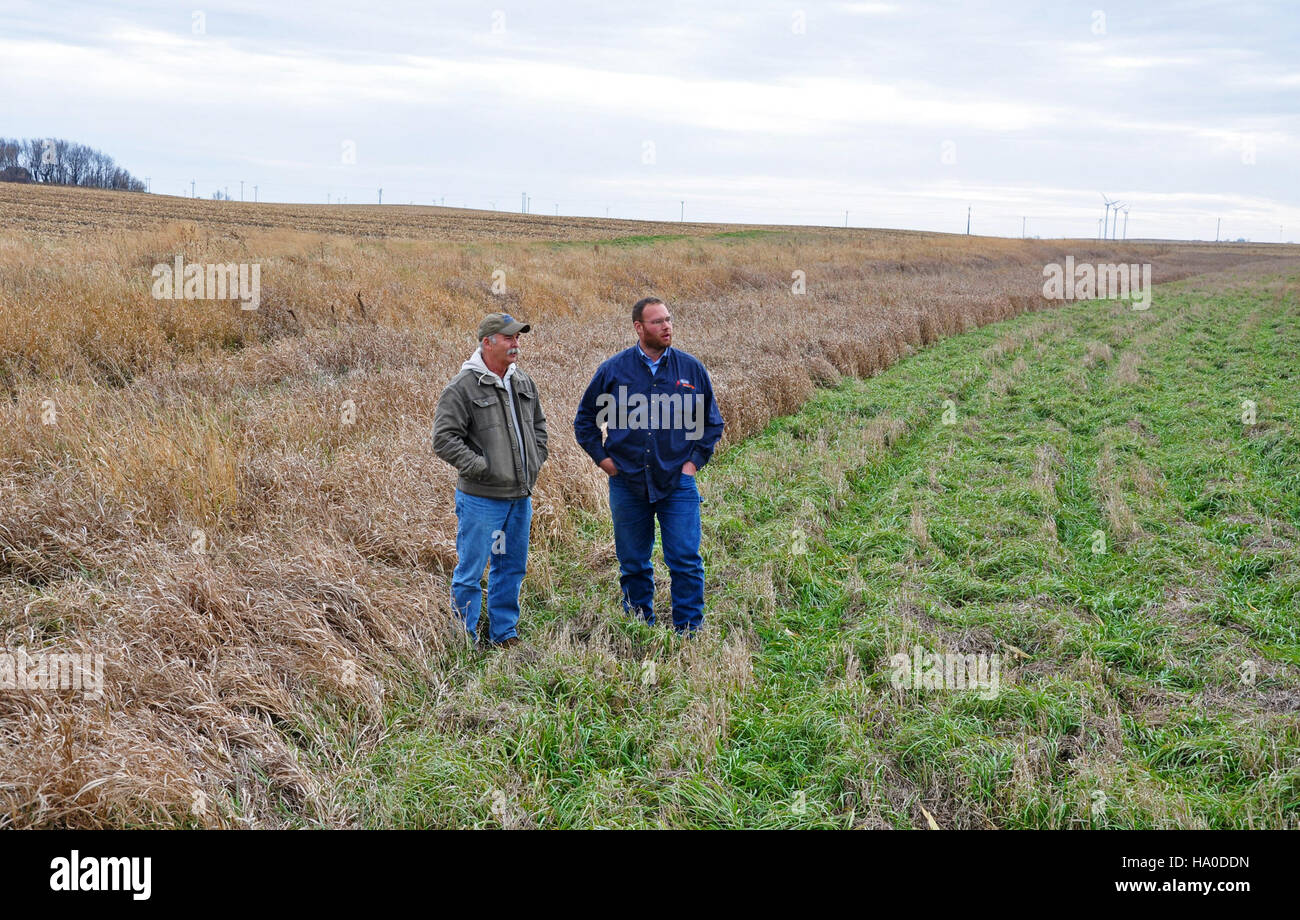 An agricultural filter strip designed to prevent soil erosion and ...