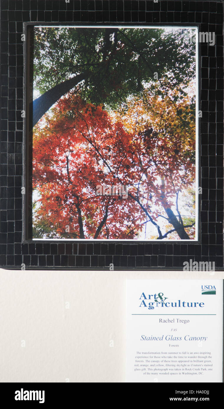 The USDA supports the creative work of its employees through art ...