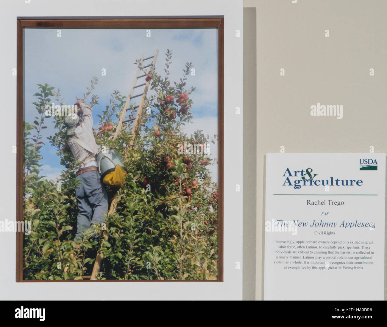 A USDA employee’s artwork is showcased, reflecting the Department of ...