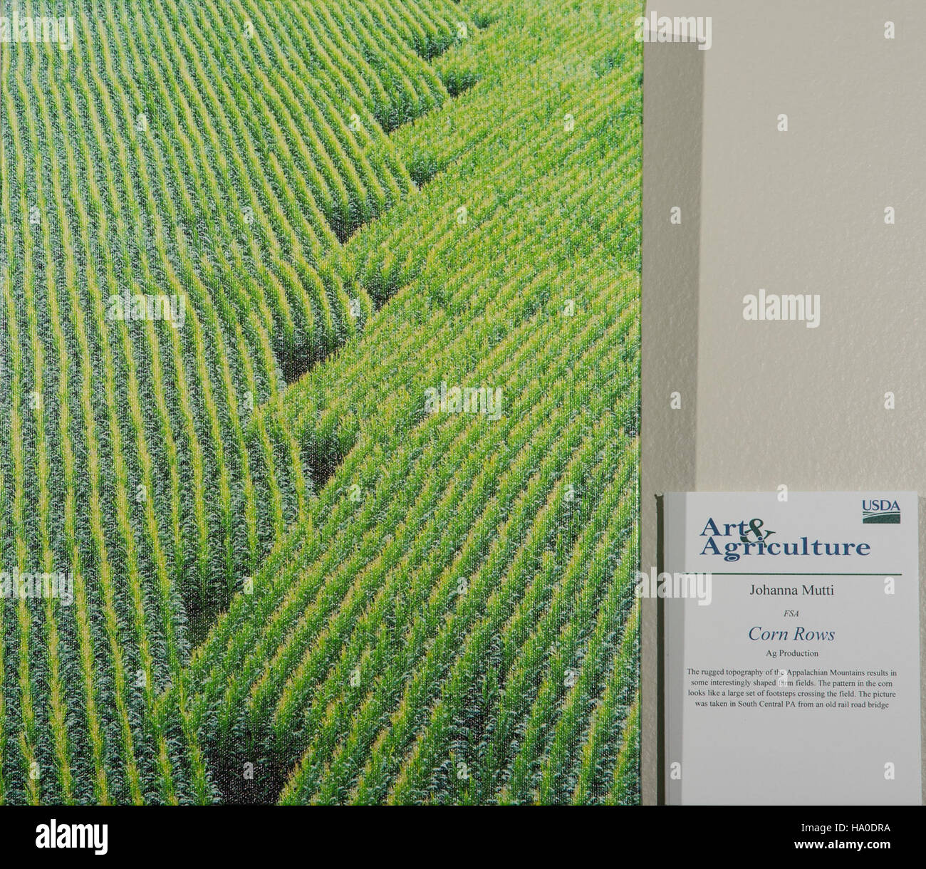 An employee of the USDA Department of Agriculture showcases their ...